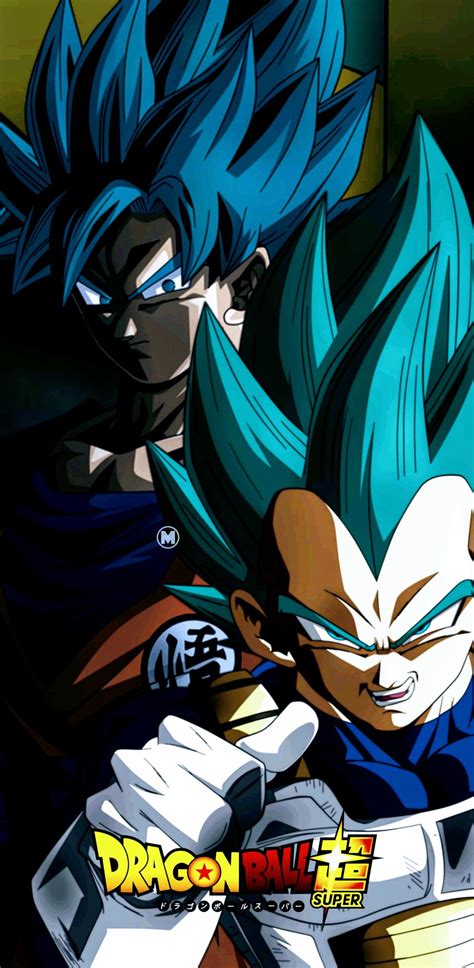 Goku Vegeta SSJB Dragon Ball Super Dragon Ball Art Goku Anime Dragon Ball Dragon Ball Super