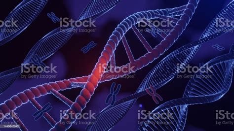 Dna Spiral Structure Dna Helix Complementary Strand Of Sequences