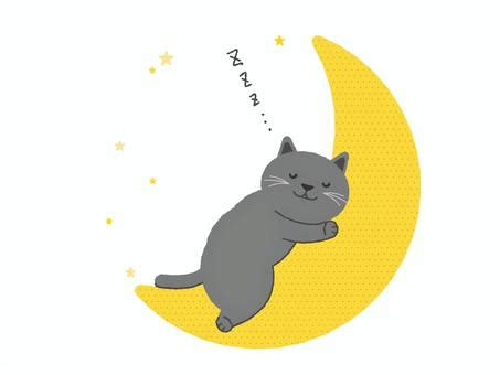 正面を向く2匹のネコイラスト No 25757470｜無料イラスト・フリー素材なら「イラストac」
