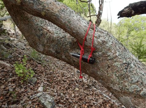 plot gt04 camera trap left and data logger right download