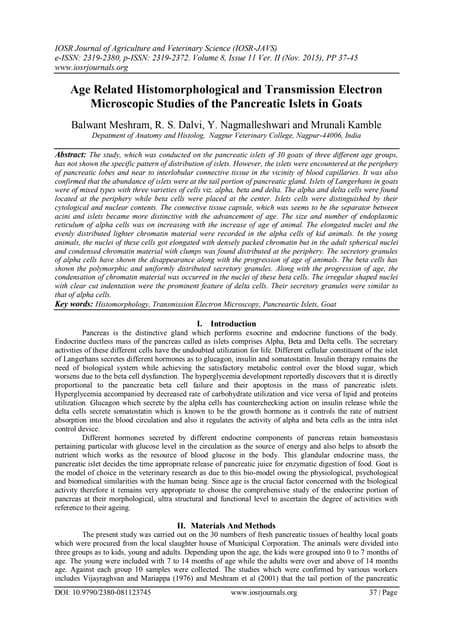 A Study Of Microscopic Characteristics Of Starch Granules Pdf