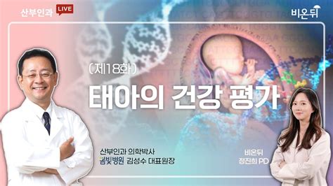 태아 건강 검사 안양봄빛병원 산부인과 김성수 Youtube