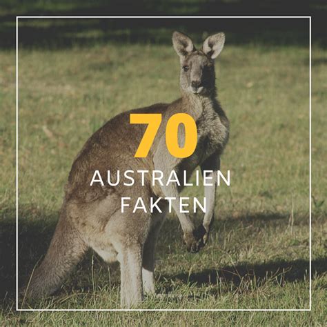 70 Australien Fakten Unser Ländersteckbrief