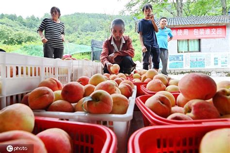 立秋节气瓜香果甜 咬秋”正当时 搜狐大视野 搜狐新闻