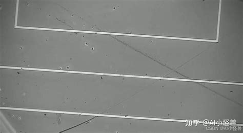 基于yolo11的半导体晶圆缺陷检测系统(python源码数据集pyside6界面) 知乎 基于yolo11的半导体晶圆缺陷检测系统(python源码数据集pyside6界面) 知乎