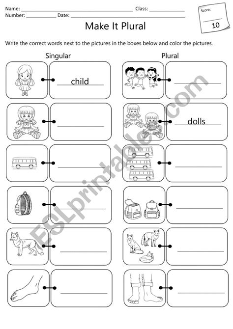 Singular And Plural Nouns Esl Worksheet By Lynb