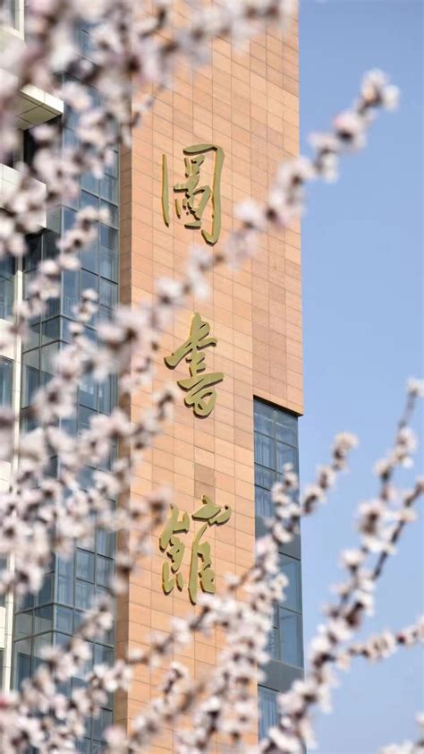 美丽校园校园一角晋中学院