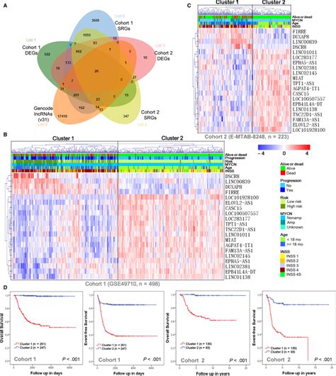 Identification Of Differentially Expressed And Survival‐related