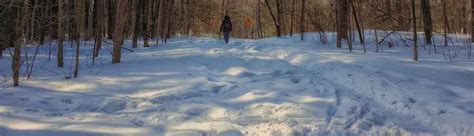 Impeccable Timing Facticitycafacticityca