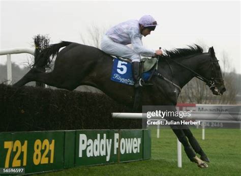 Connor Fitzpatrick Photos And Premium High Res Pictures Getty Images