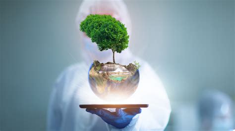 What Is The Importance Of Sustainable Healthcare Technologies