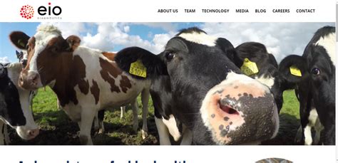 Top 15 Agriculture Startups You Need To Watch Out In 2025