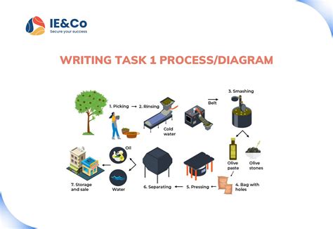 6 Bước Giúp Cải Thiện Vượt Trội điểm Ielts Writing Task 1 Process