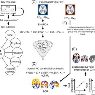 Analysis Workflow Simplified Schematic Of The Data Analysis Workflow Download Scientific