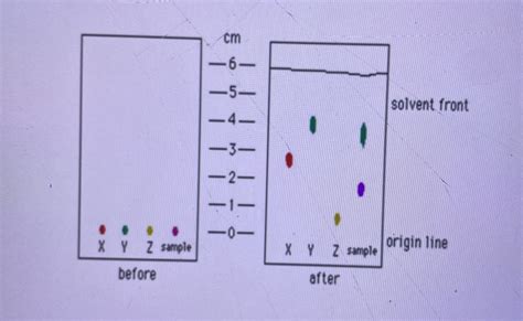 [solved] Chromatography Related 1 It Was Suspected That A Particular Course Hero