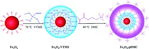 Preparation Process Of The Fe3o4 Pdmc Adsorbent Via The Surface