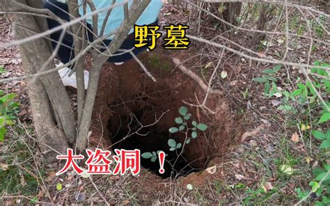 湖北野外找到一座古墓，一个大盗洞！可惜被盗墓贼盗了。 逸明文化古迹 逸明文化古迹 哔哩哔哩视频