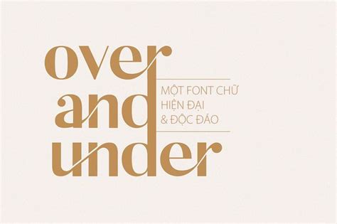 Font VIP Việt Hóa