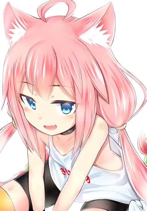 Safebooru 1girl Ahoge Animal Ears Bike Shorts Black Choker Black