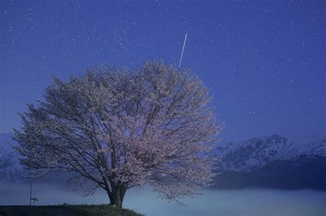 星景写真ニコン星空案内更新2025年4月分 星三昧