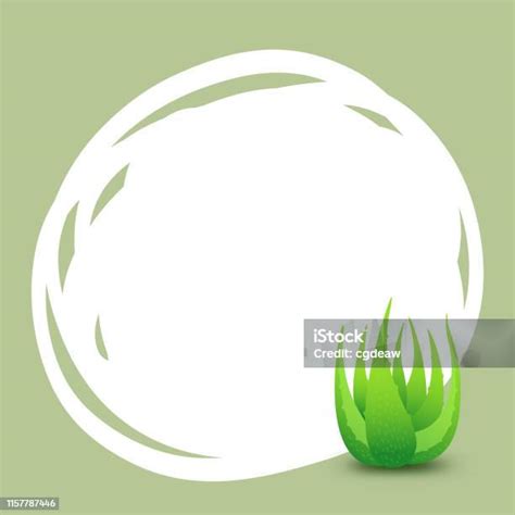 배경 녹색 광고 배너 광장 프레임 알로에 베라 식물 복사 공간 클립 아트 알로에 베라 배너 광고 화장품 크림 제품에 대한 빈