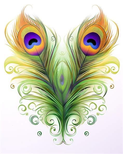 18000 Ears Peacock Pictures