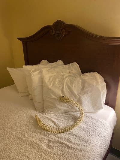 Got A Friend To Keep Me Company In The Second Bed Tumbex
