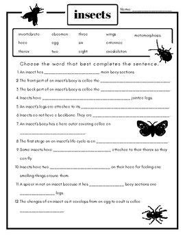 Insect Fill In The Blank Insects Filling Blanks