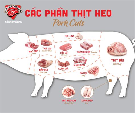PHÂN BIỆT CÁC PHẦN THỊT CỦA THỊT HEO Thế Giới Thịt Tươi 3A