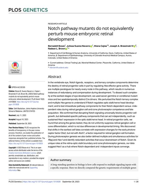 Pdf Notch Pathway Mutants Do Not Equivalently Perturb Mouse Embryonic