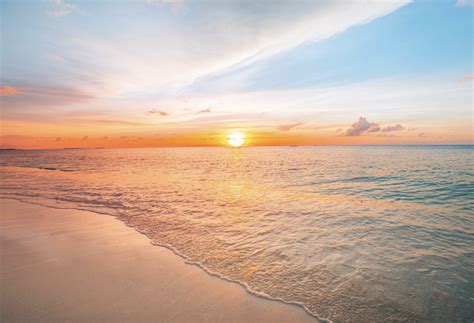 Eric C Stith Sr Metropolitan Funeral