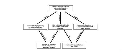 Concept Map Showing The Relationships Between Themes And Subthemes