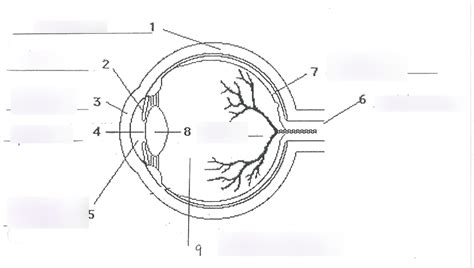 Anatomy Chapter 2 Diagram Quizlet