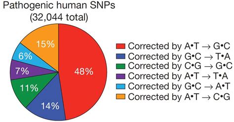 基因编辑如火如荼丨dna编辑 Vs Rna编辑 知乎
