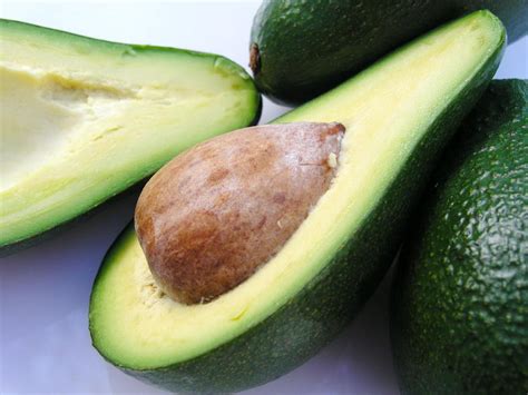 South African Avocado Cultivars