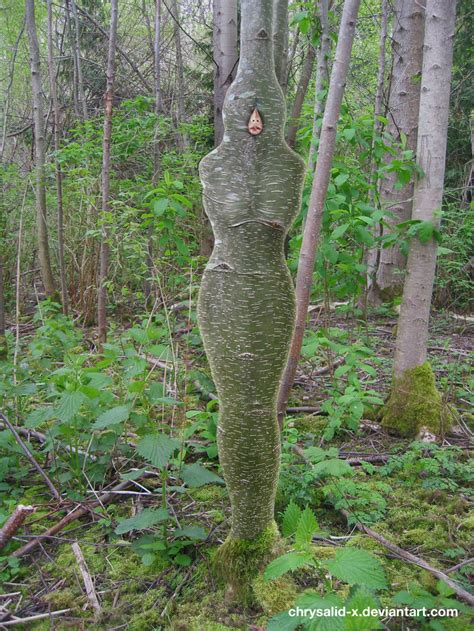 Cocoon Tree Symbiote18 By Chrysalid X On Deviantart