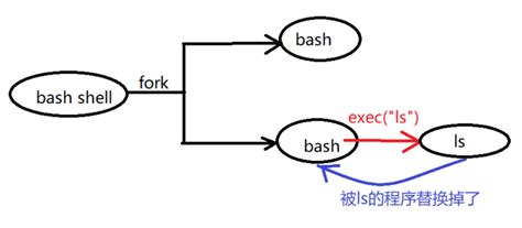 【linux进程控制】四、exec函数族——进程替换详解 腾讯云开发者社区 腾讯云