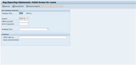 Fzb Sap Tcode Statements