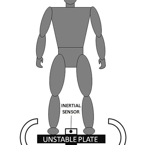 Schematic Illustration Of The Experimental Set Up For The Dynamic