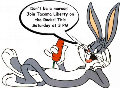 Funny Bug Quotes Quotesgram