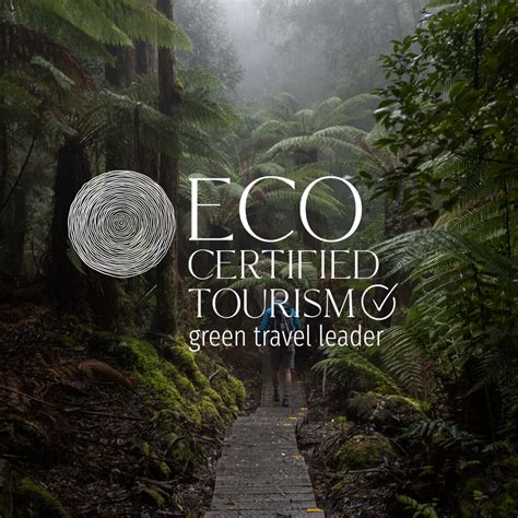 Celebrating 10 Years Of Eco Certification
