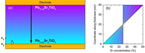 Compositionally Graded Ferroelectric Thin Films A Schematic Download Scientific Diagram