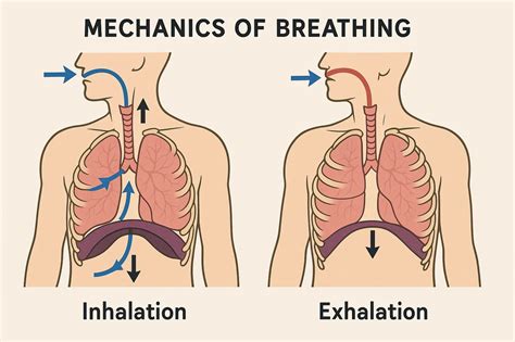 的 4o Image Api：基于 Gpt Image 1，提供价格亲民、稳定多样的 Ai 图像生成体验