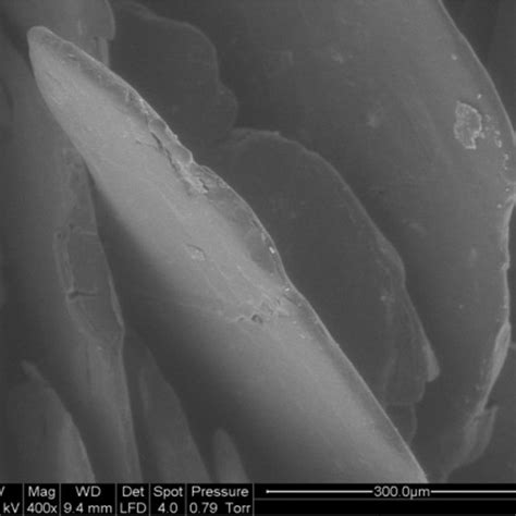 Exfoliation Volume Of Graphite Intercalation Compound Download