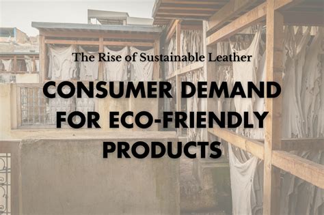 The Rise Of Sustainable Leather Consumer Demand For Eco Friendly Prod