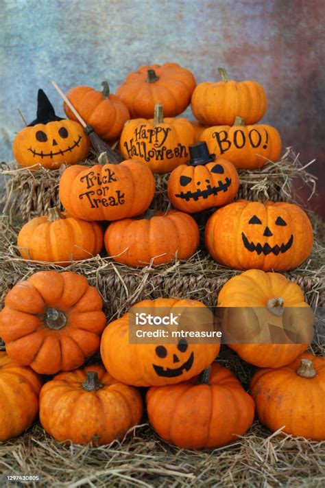 해피 할로윈 트릭 또는 치료 부 메시지 선반에 잘 익은 오렌지 Gourds로 둘러싸인 건초 더미에 무서운 할로윈 얼굴 잭 O랜턴