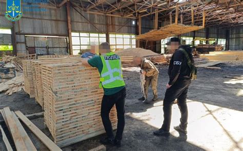 На Житомирщині лісників підозрюють у завданні майже 23 млн грн збитків державі портал новин Lb Ua