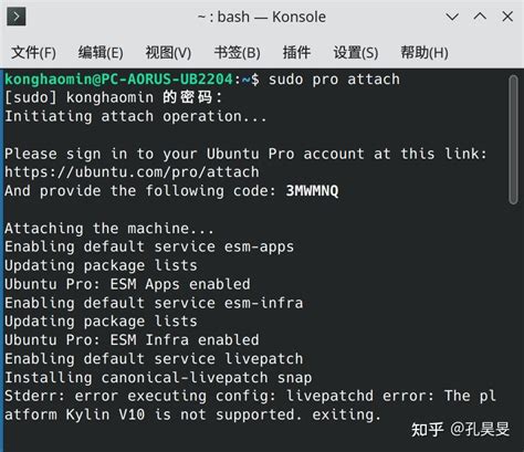 Ubuntu Pro 的使用指南 知乎