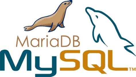 MySQL MariaDB Maskierung Bereinigung Migration ETL JET Software