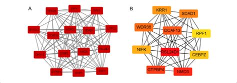 Key Genes Of Degs A Mcode B Cytohubba Nodes Represent Genes And